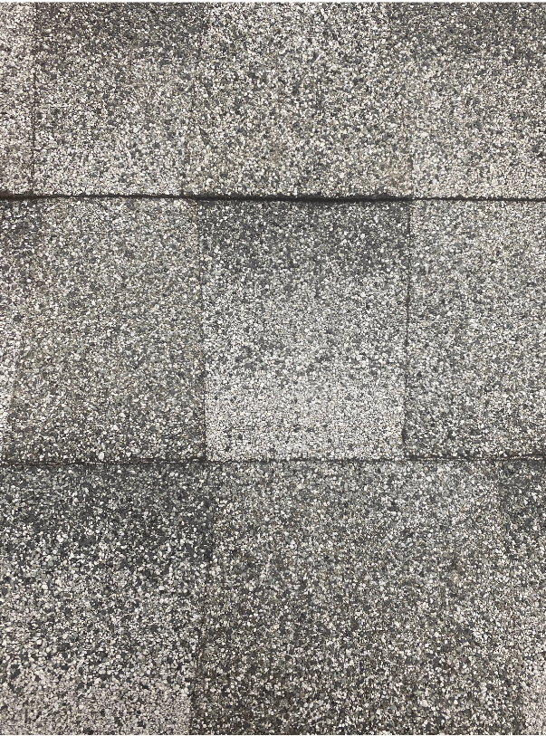 Comprehensive Roof Shingles Review: GAF Timberline HDZ