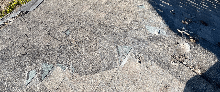 Coping with Tree Hazards: How Trees Can Damage Your Roof